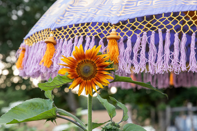 East London Parasol Company – East London Parasol Company Ltd